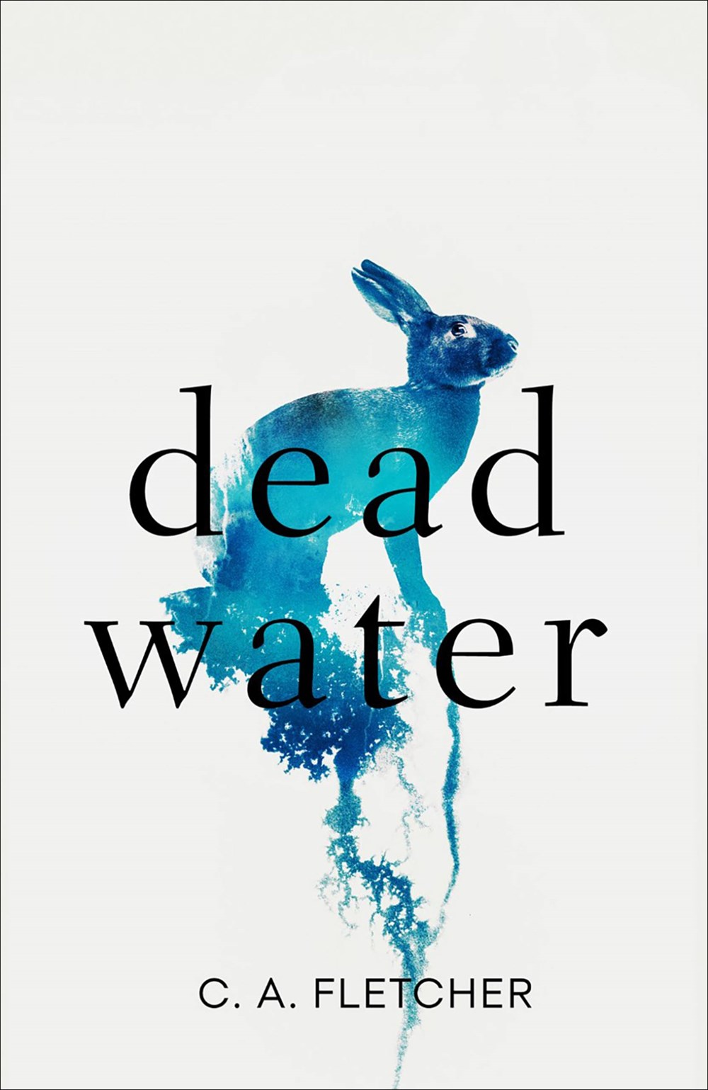 Serena’s Review: “Dead Water” – The Library Ladies
