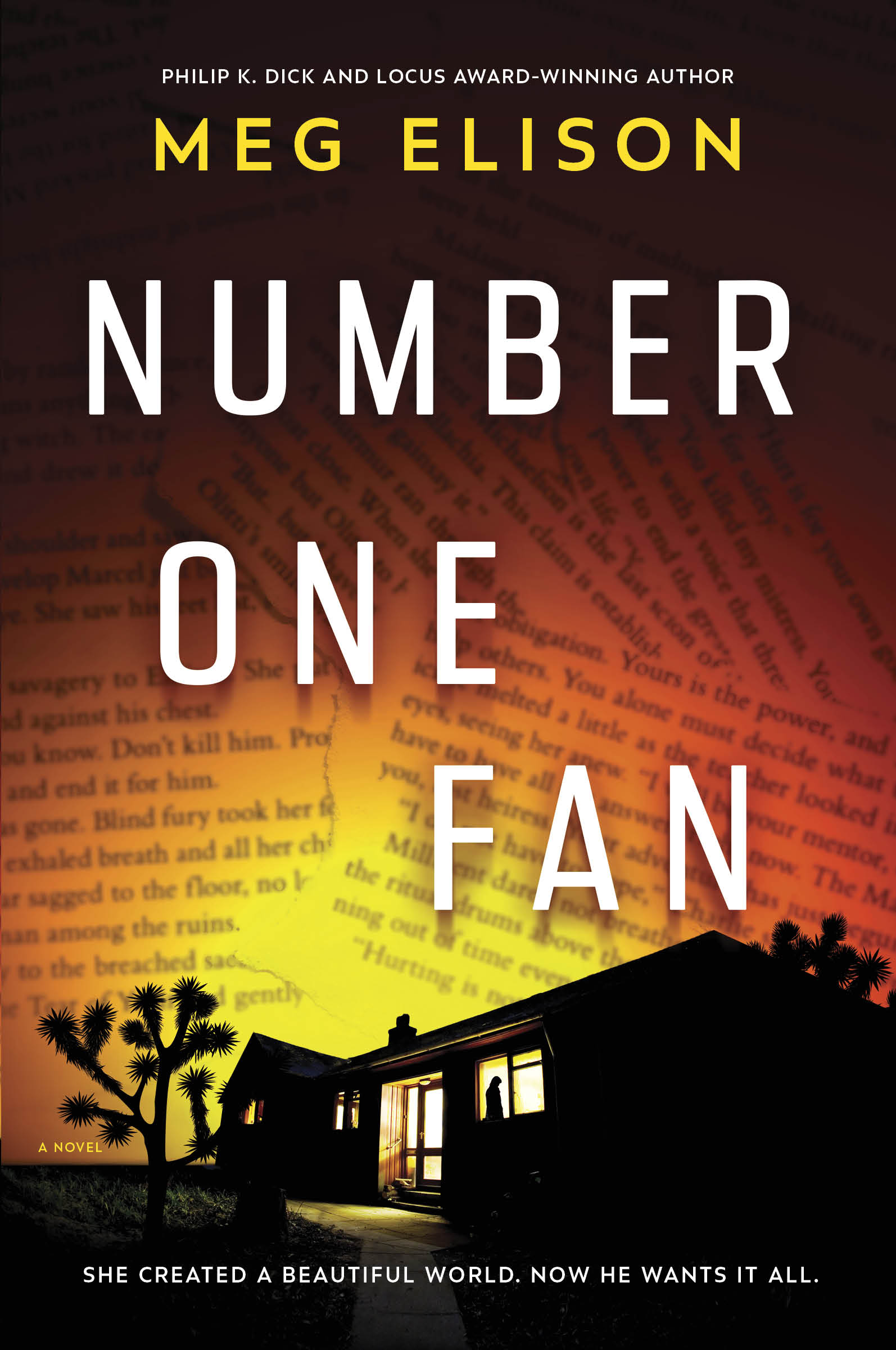 Kate’s Review: “Number One Fan” – The Library Ladies