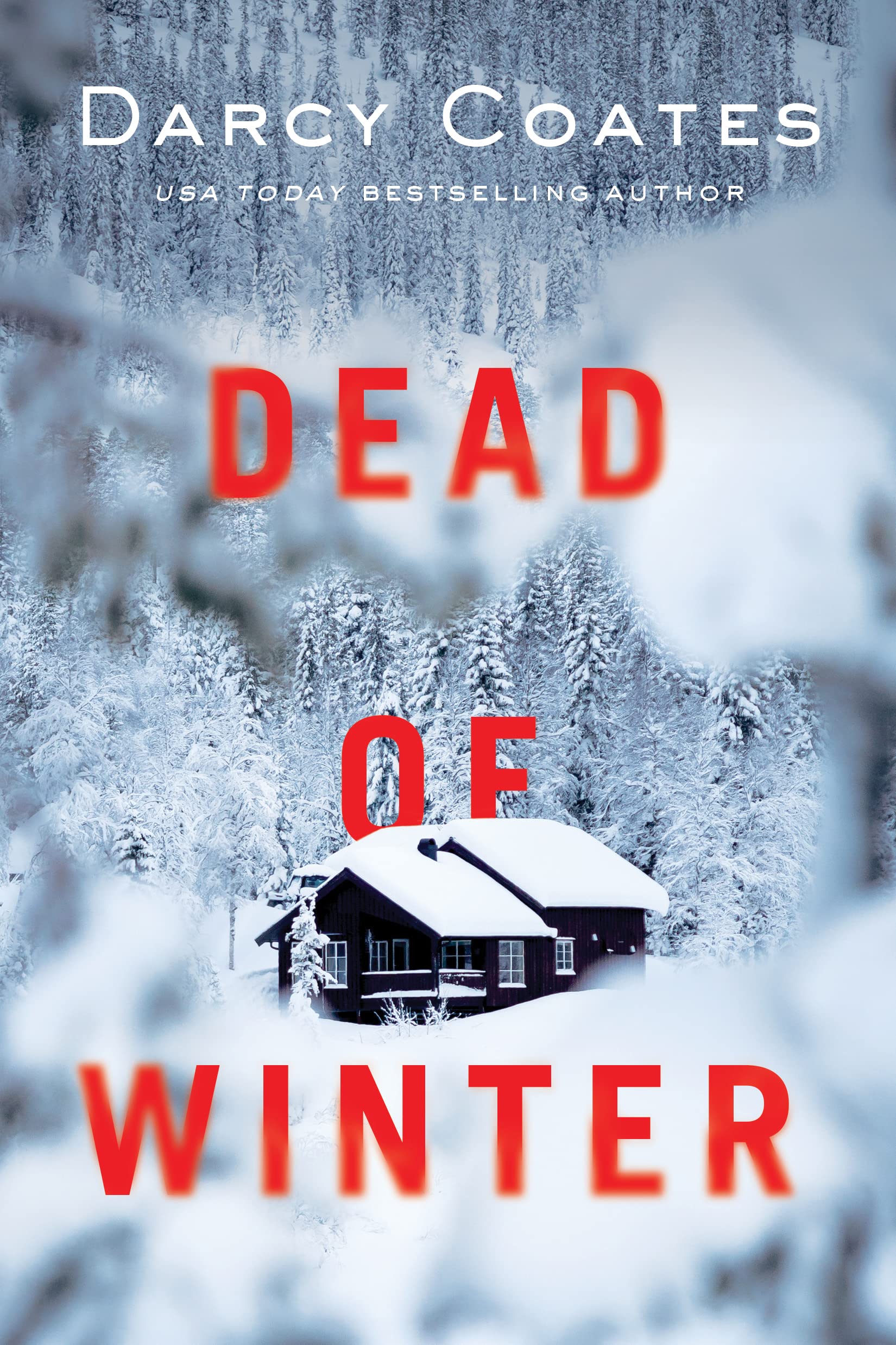 Kate’s Review: “Dead of Winter” – The Library Ladies